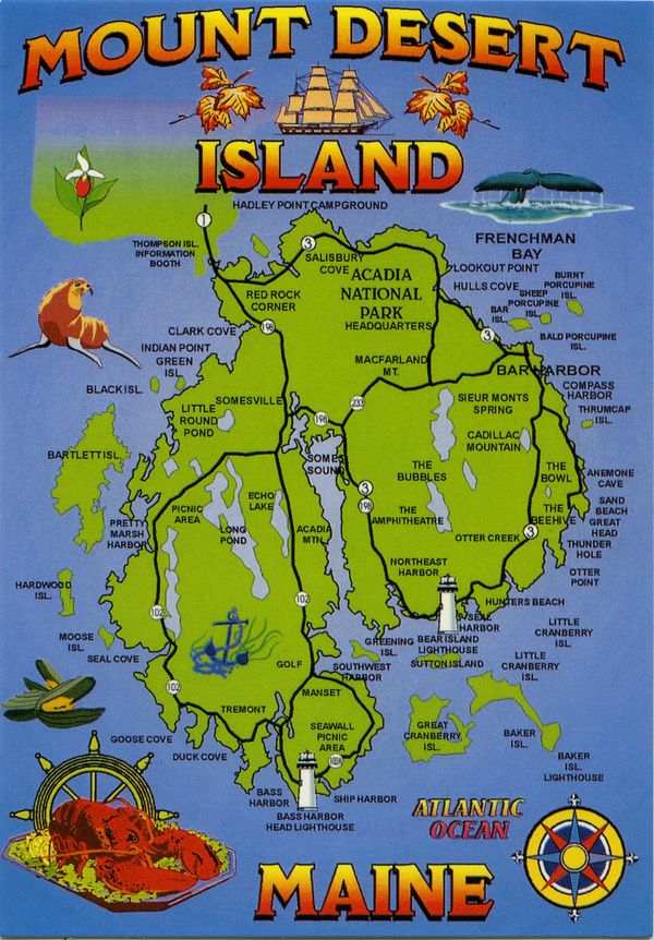 Mount Desert Island map | David and Lam