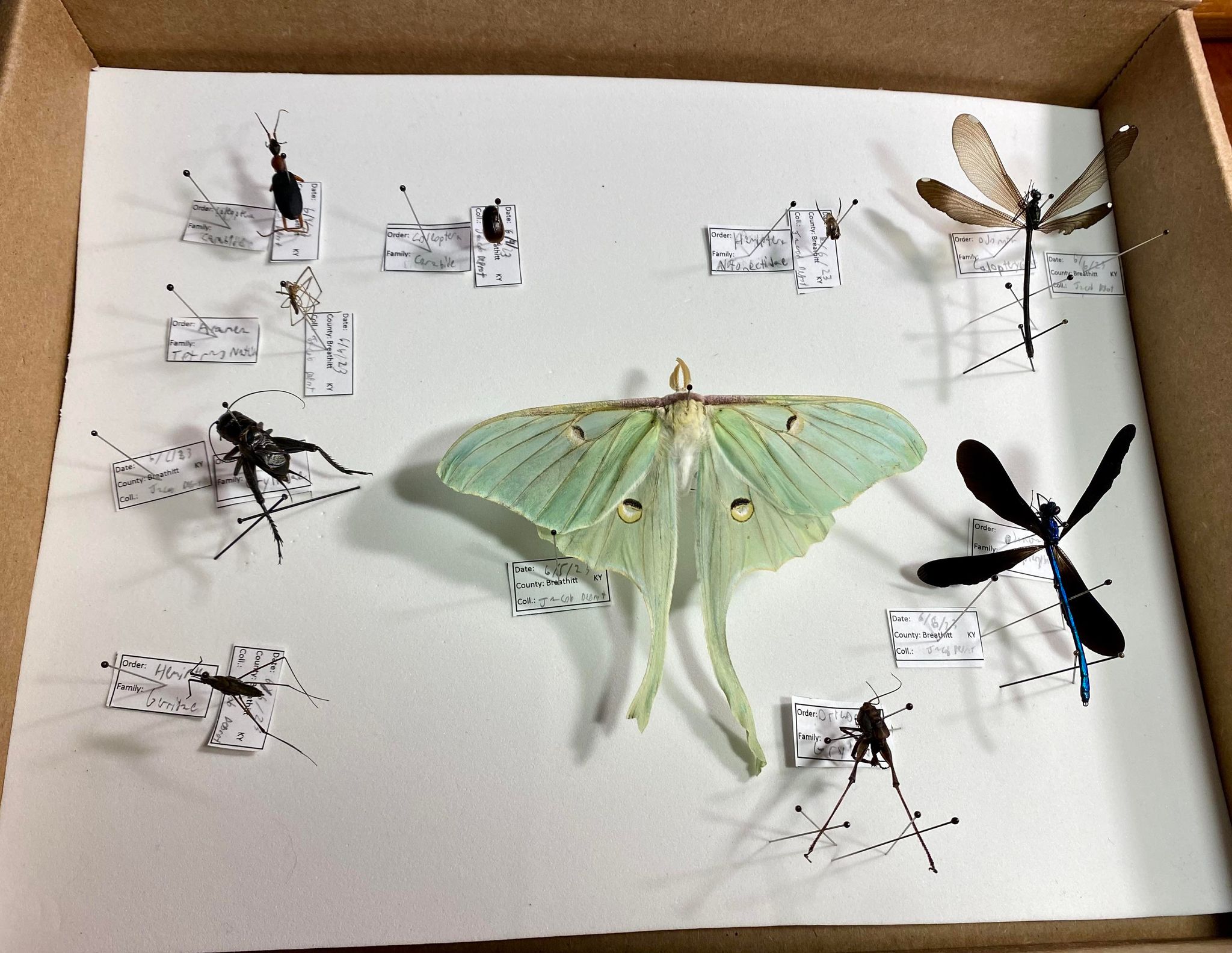 Photos from Jacob’s Forestry Leadership Program in Robinson Forest ...